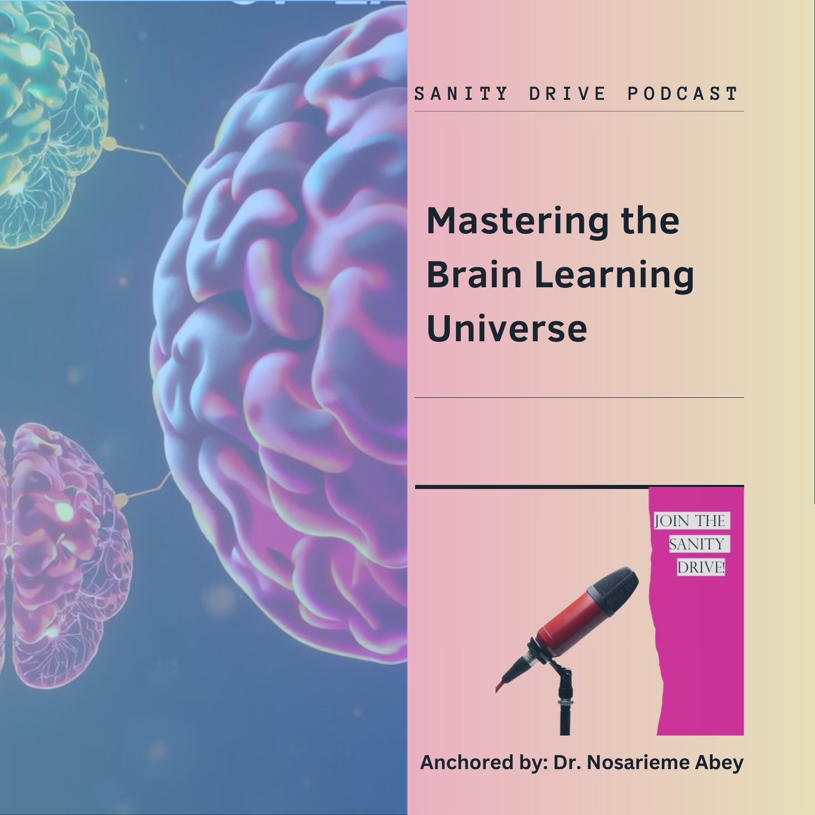 Mastering the Brain's Learning Universe - Sane Drive